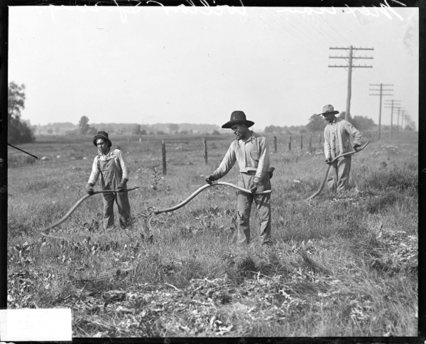 Mexican Immigration Evolution(1910-1920)